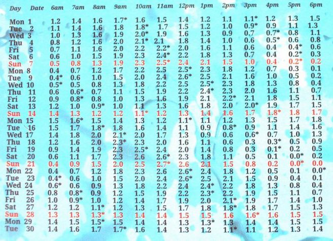 タイドチャート（潮回り） | バリ島サーフィン＆波情報